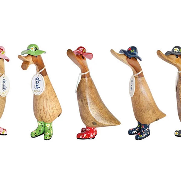 The Dcuk Collection Clearance All Perfect – Duck World